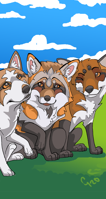 Finnegan Fox Book Series