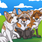 Finnegan Fox Book Series